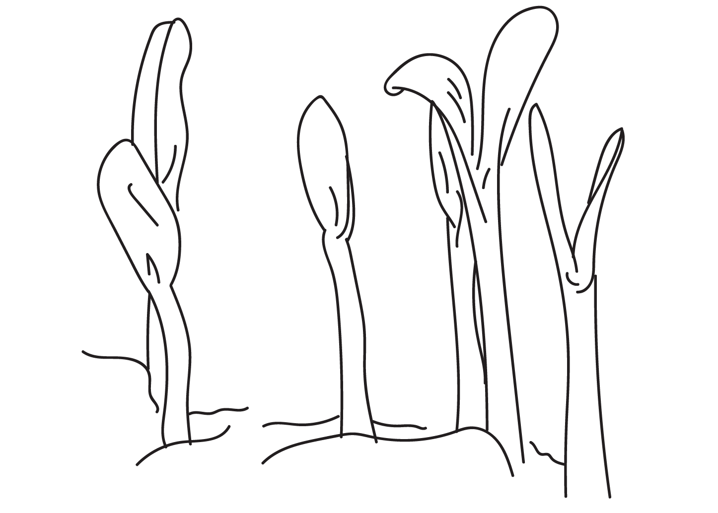 Jula: Why you should not get stuck in the comparison swamp